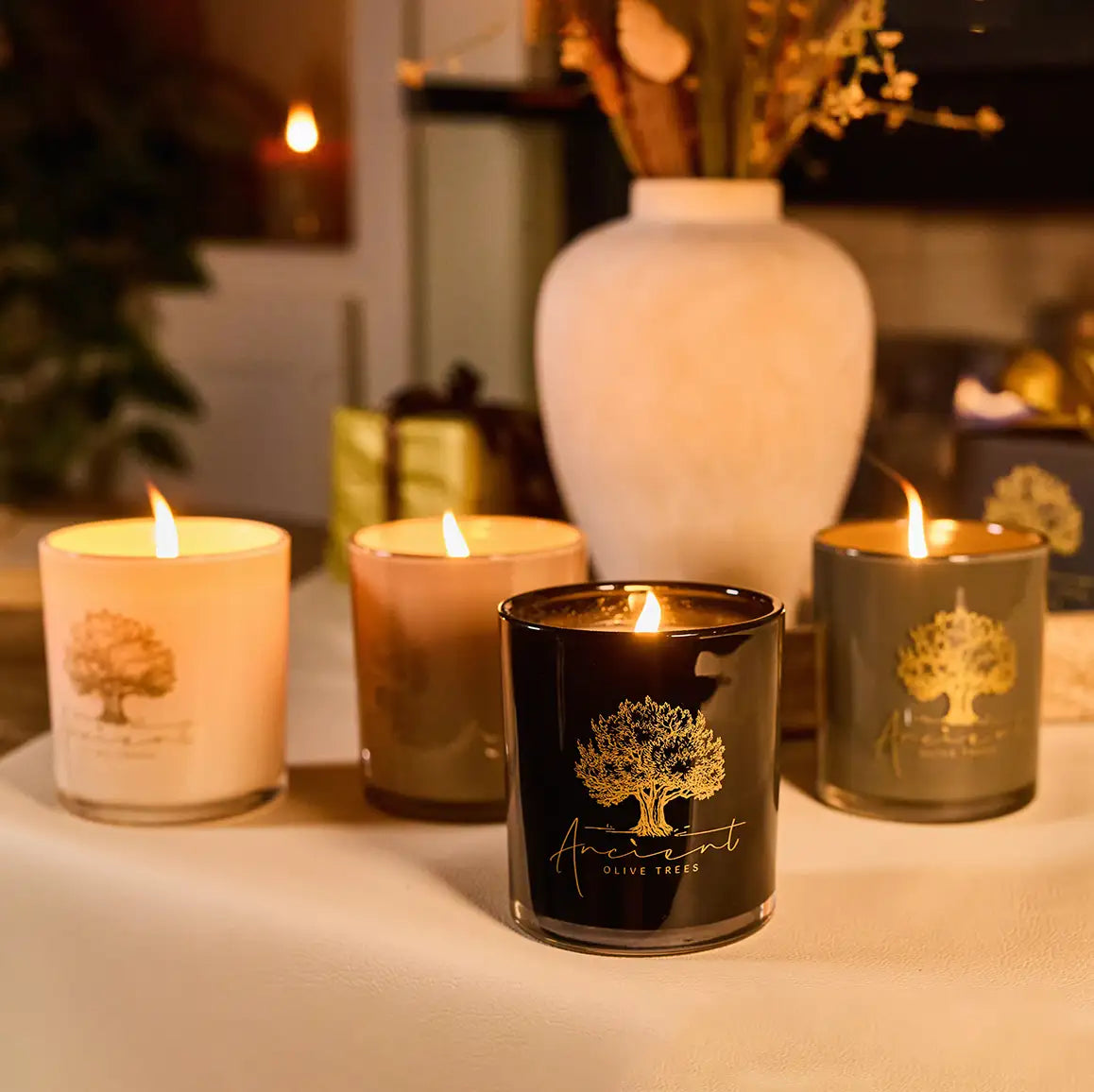CANDLE BUNDLE – Ancient Olive Trees